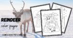 25 Reindeer Day Activities For Crafty Kids & Little Learners