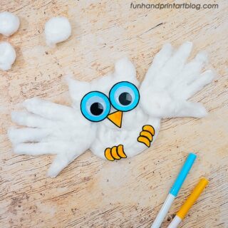 14 Creative Snowy Owl Crafts For Kids