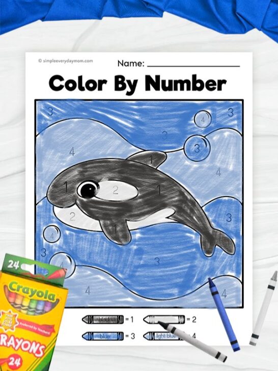 Winter Animal Color By Numbers Worksheets For Kids