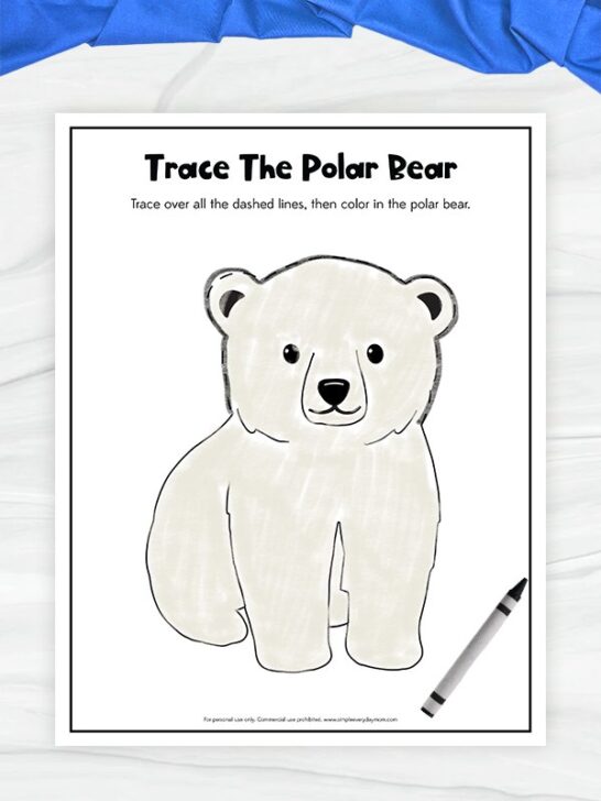Free Printable Polar Bear Tracing Worksheets