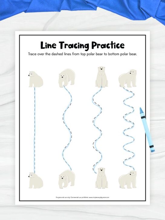 Free Printable Polar Bear Tracing Worksheets