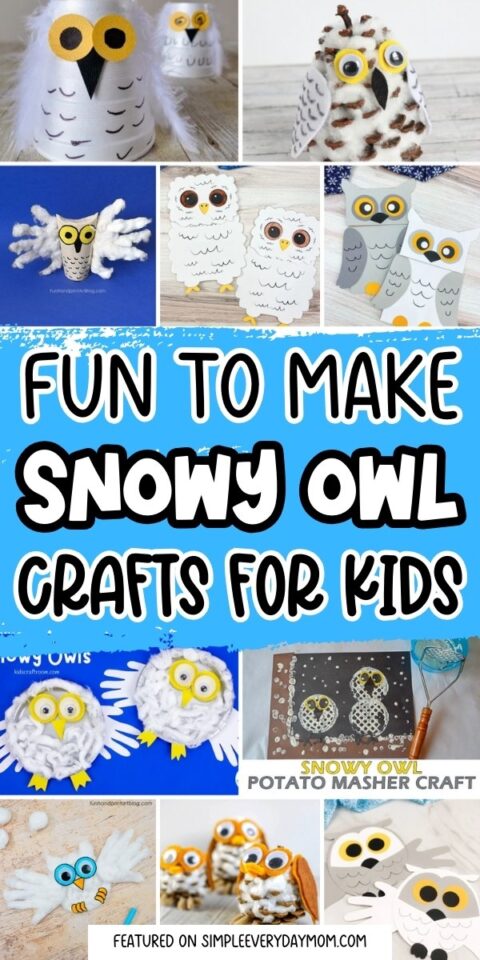 14 Creative Snowy Owl Crafts For Kids