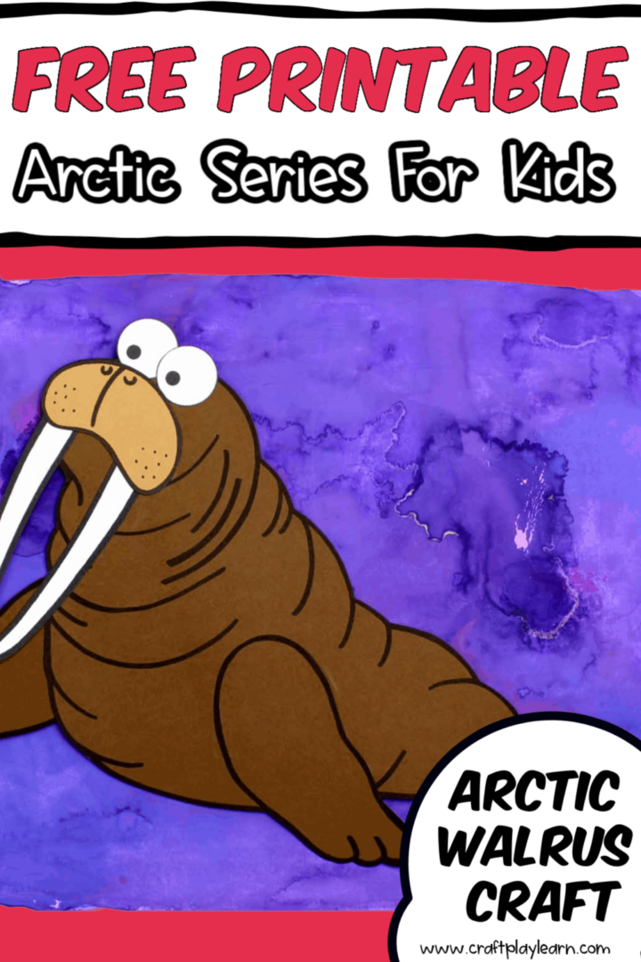 20 Adorable Arctic Animal Crafts for Kids to Explore