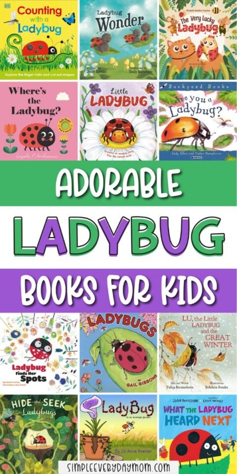 19 Fun To Read Preschool Ladybug Books