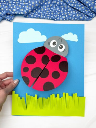 3D Ladybug Craft With Free Printable Template