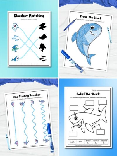 Free Printable Shark Counting Worksheets