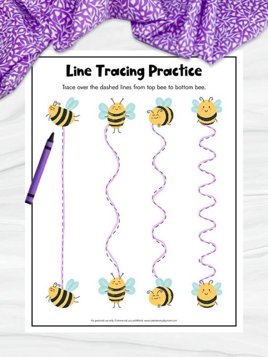 Free Printable Bee Tracing Worksheets For Preschoolers