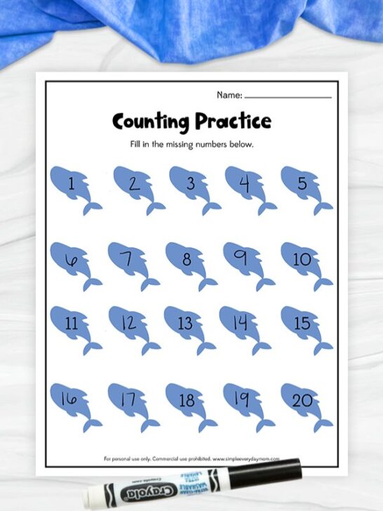 Free Printable Shark Counting Worksheets