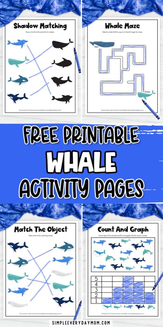Free Printable Whale Activity Sheets For Kids