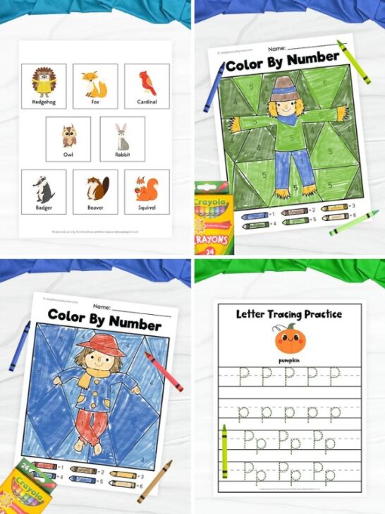 Free Printable Johnny Appleseed Worksheets For Kids