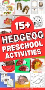 15+ Hedgehog Preschool Activities for Fall Learning and Play