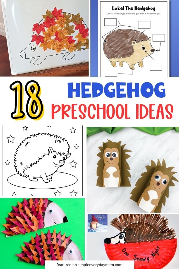 15+ Hedgehog Preschool Activities for Fall Learning and Play