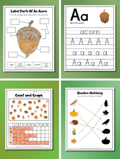 Fall Hedgehog Craft For Kids [Free Printable Template]