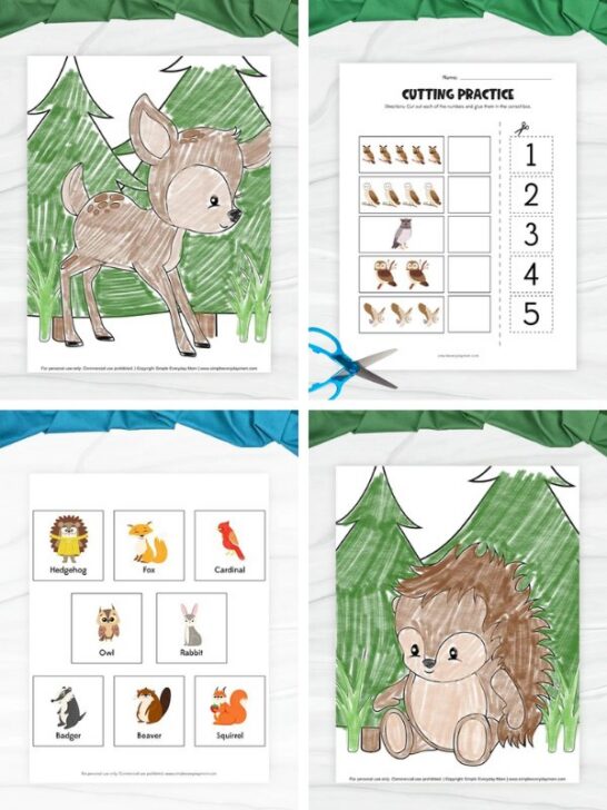 Easy Hedgehog Puppet Craft [Free PDF Template]
