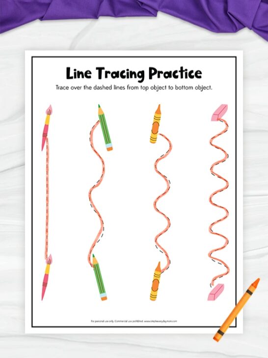 Free Back To School Tracing Worksheets