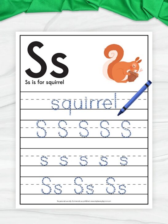 Free Squirrel Worksheets For Preschool & Kindergarten