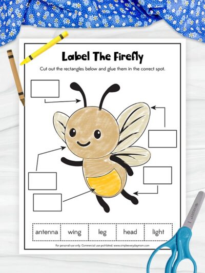 Free Printable Firefly Worksheets For Kindergarten