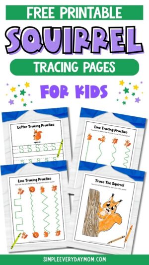 Free Printable Squirrel Tracing Worksheets For Preschoolers