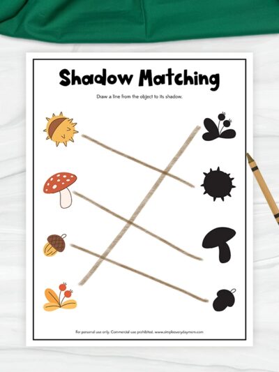 Free Printable Forest Animal Activity Pages