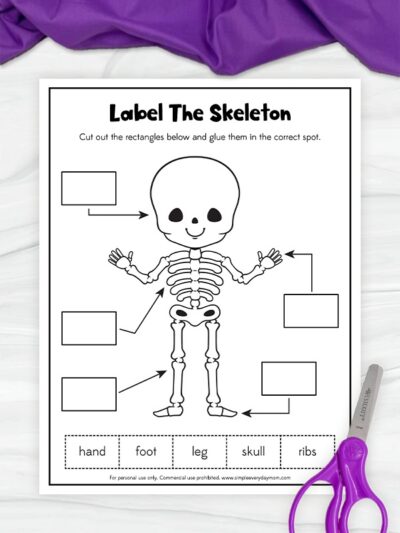 Free Printable Skeleton Worksheets For Kids