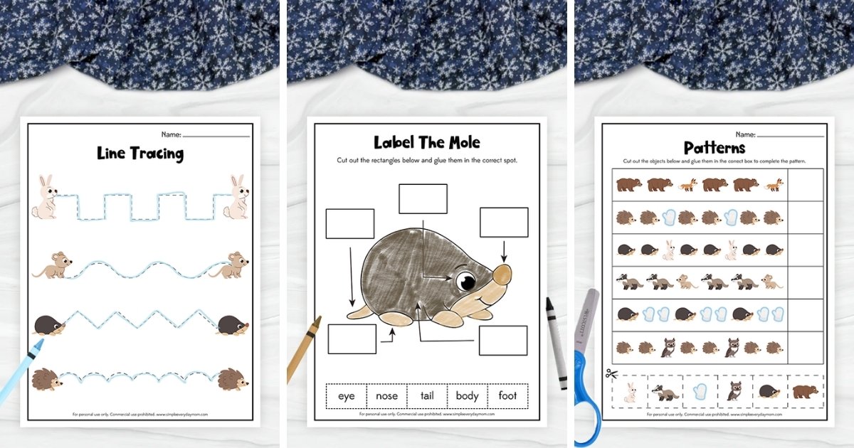 Free Printable The Mitten Book Activities