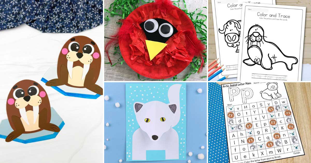 25+ Winter Animal Activities for Kids to Learn and Play
