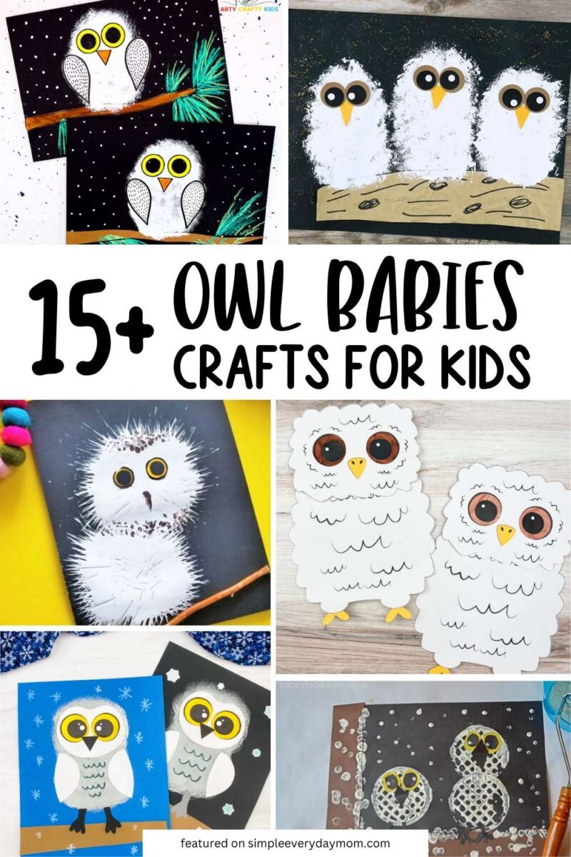 15+ Sweet and Simple Owl Babies Craft Ideas for Story Time