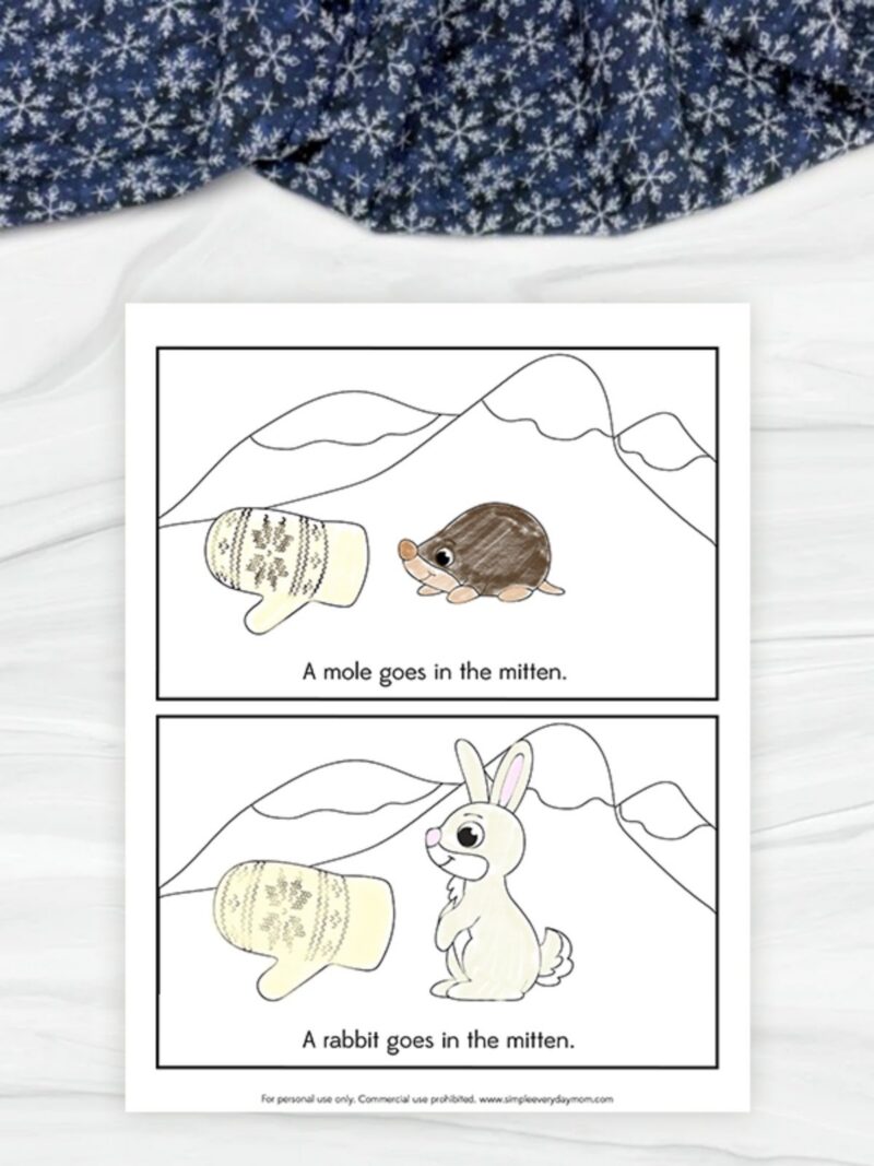 Free Printable The Mitten Book Activities