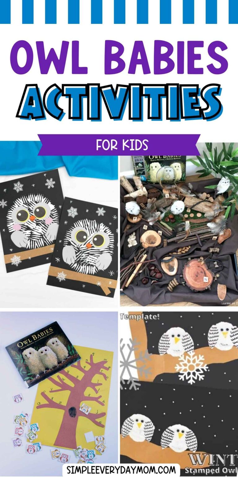 11 Engaging Owl Babies Activities for Kids