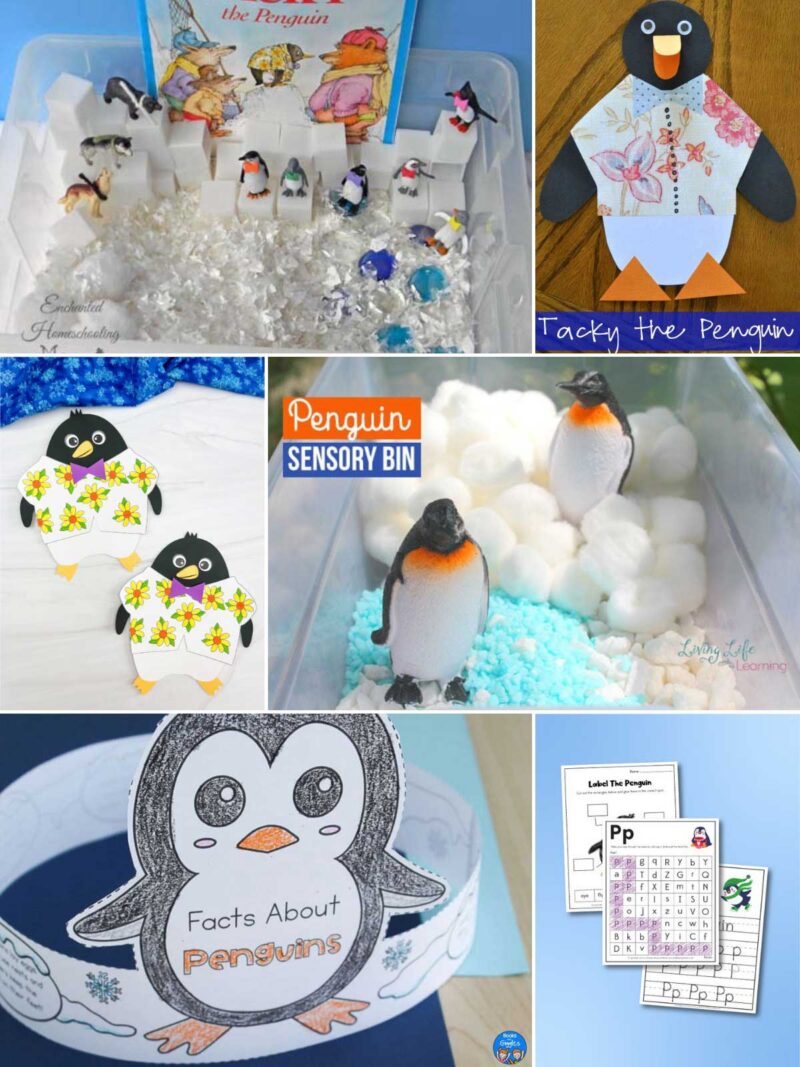 Free Printable Arctic Fox Worksheets For Kindergarten