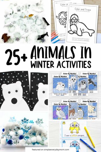 25+ Winter Animal Activities for Kids to Learn and Play