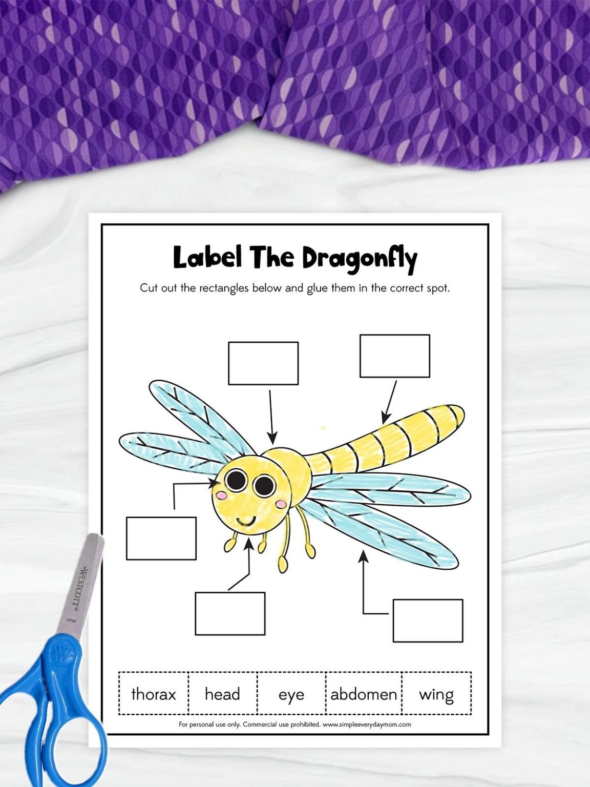Free Printable Dragonfly Worksheets For Preschoolers